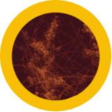 GIANTmicrobes Atletická noha (Trichophyton mentagrophytes) GMCZ-PD-002 ...