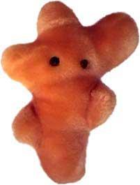 GIANTmicrobes Atletická noha (Trichophyton mentagrophytes) GMCZ-PD-002 ...